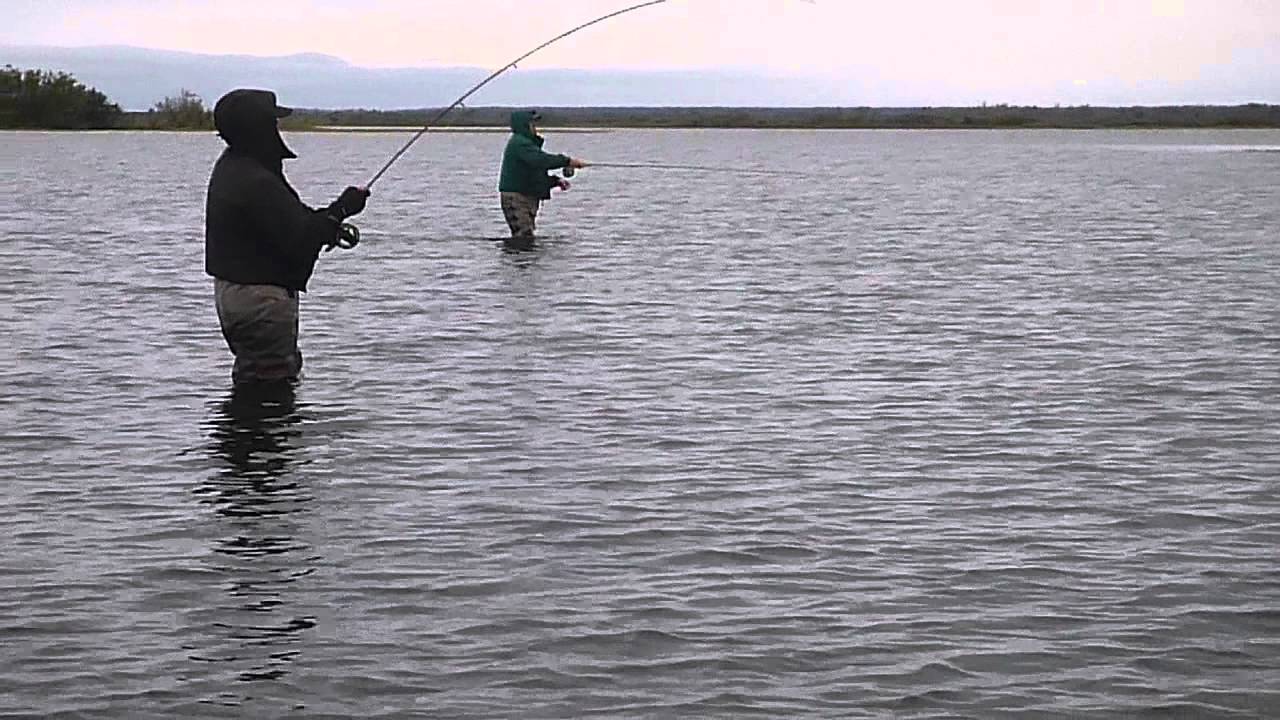 Popper fly fishing for Silver Salmon in Alaska Wilderness with Guide ...