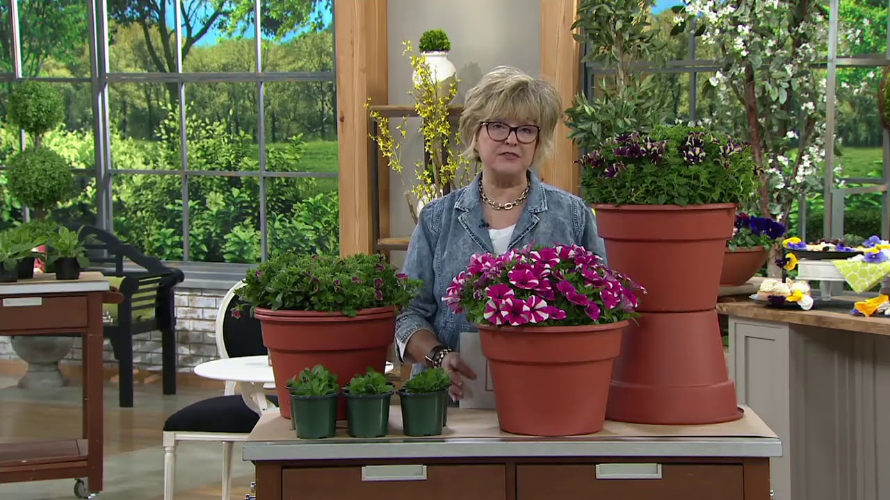 Hot Couture Live QVC Show - YouTube