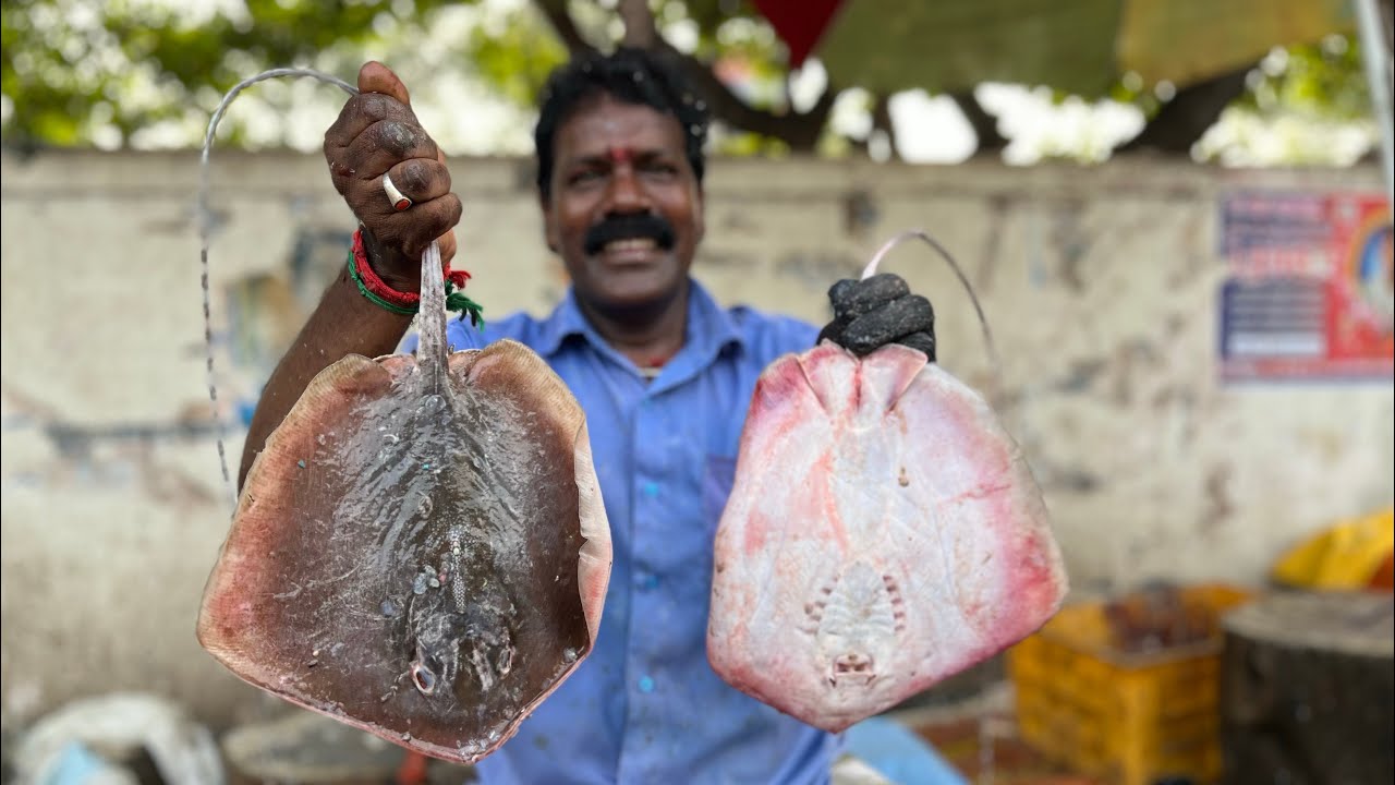 SEMBADAKA FISH CUTTING BY SEKAR 🤩🔥 - YouTube