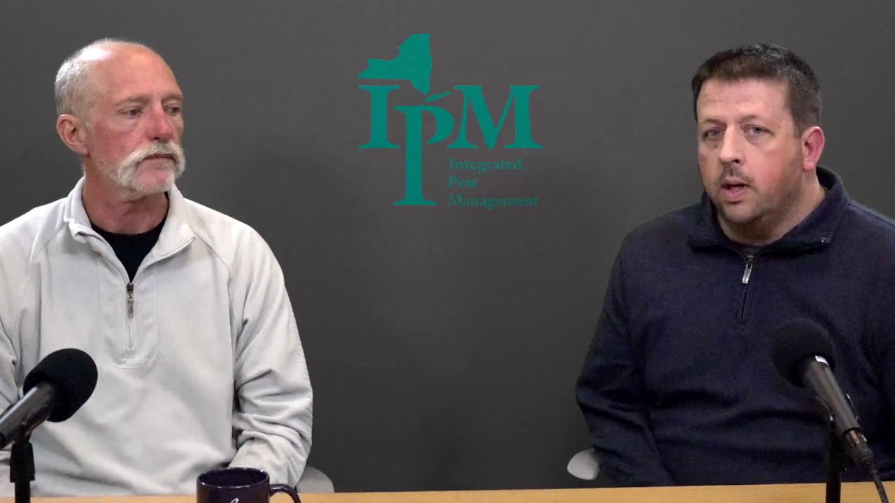 Dan Olmstead on NEWA - LERGP Podcast #64 - YouTube