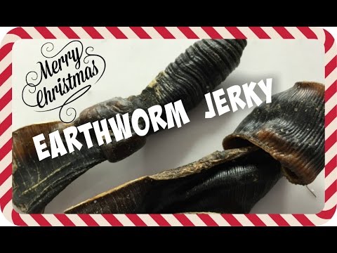 Day 5: Earthworm Jerky -- 5 Days of Bug Eating - YouTube