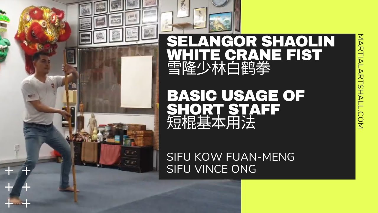 Selangor Shaolin White Crane Fist : Basic Usage of Short Staff (雪隆少林白鹤拳 ...