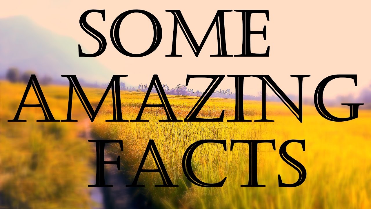 Some amazing facts - YouTube