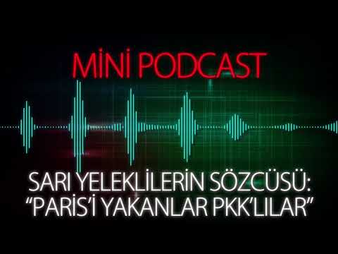 MP - Sarı Yeleklilerin Sözcüsü: \