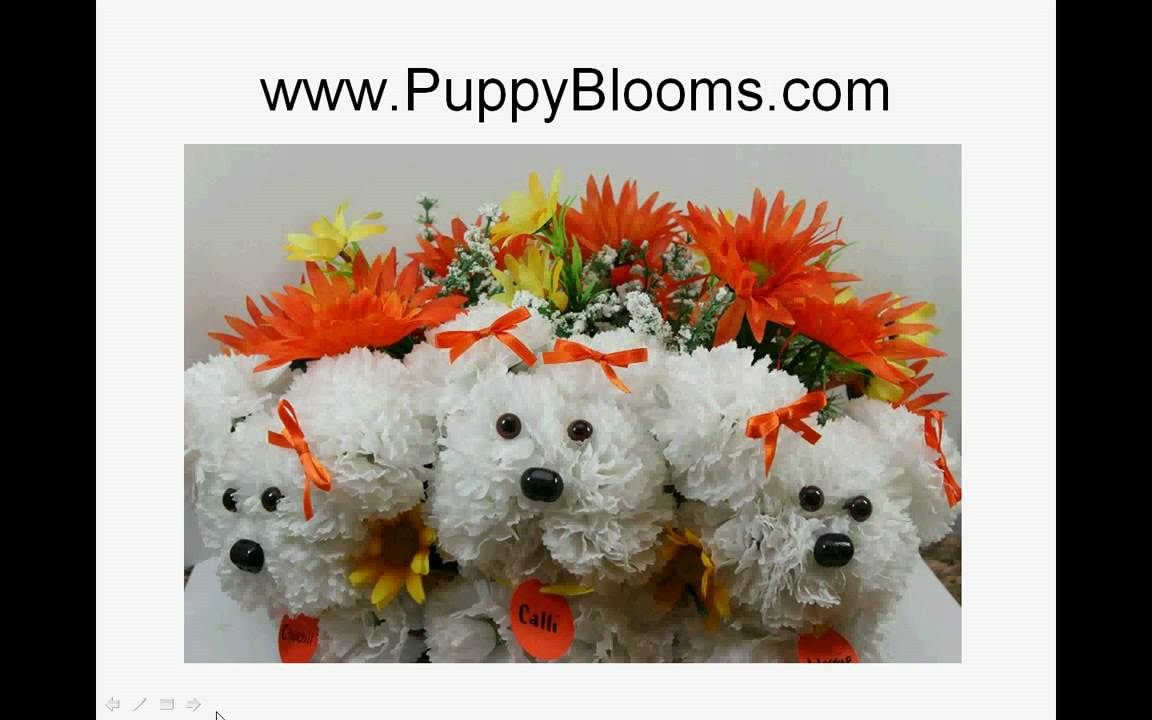 Puppy Bouquets - YouTube