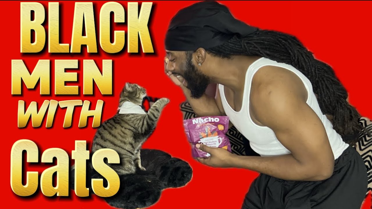Black Men With Cats on YouTube - YouTube