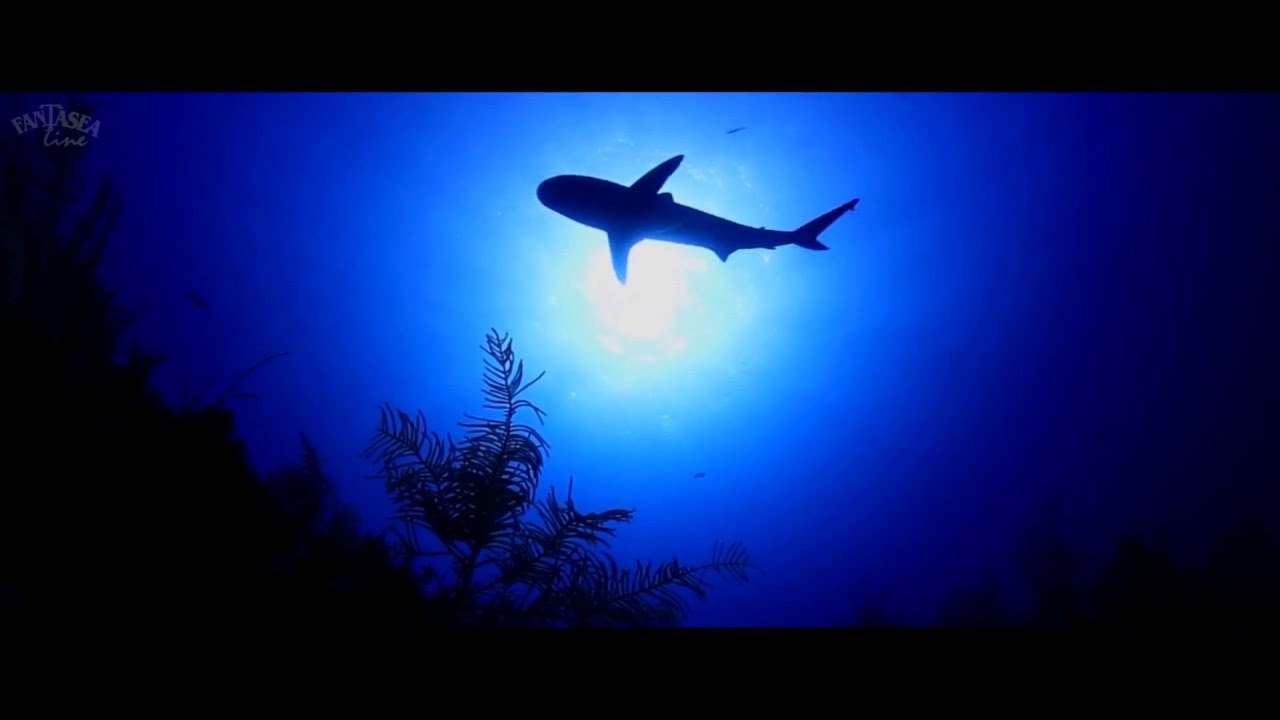 Epic Fantasea - YouTube