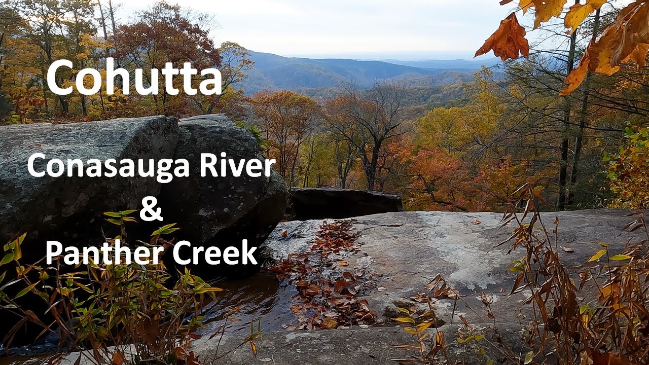 Cohutta: Conasauga River & Panther Creek - YouTube