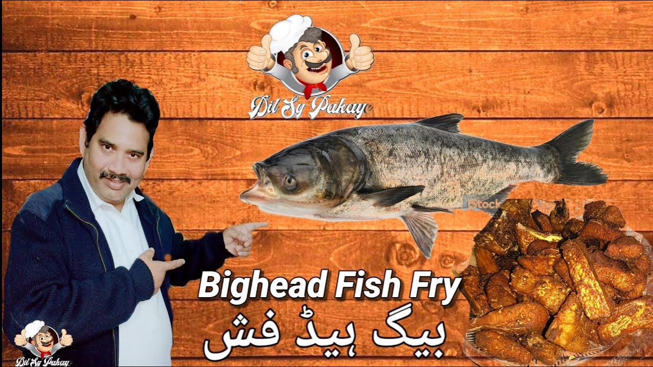 Bighead Fish FRY #recipe #food #islamabd #dilshadvlog BY #Dilshad ...