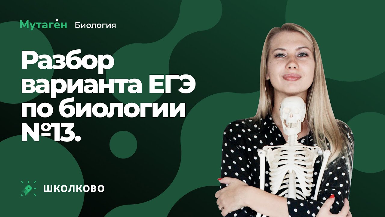💥Разбор варианта №13 ЕГЭ по биологии Youtube