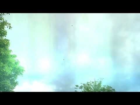 Mickey Finn  - One In The Jungle - Radio One( June 1996 )