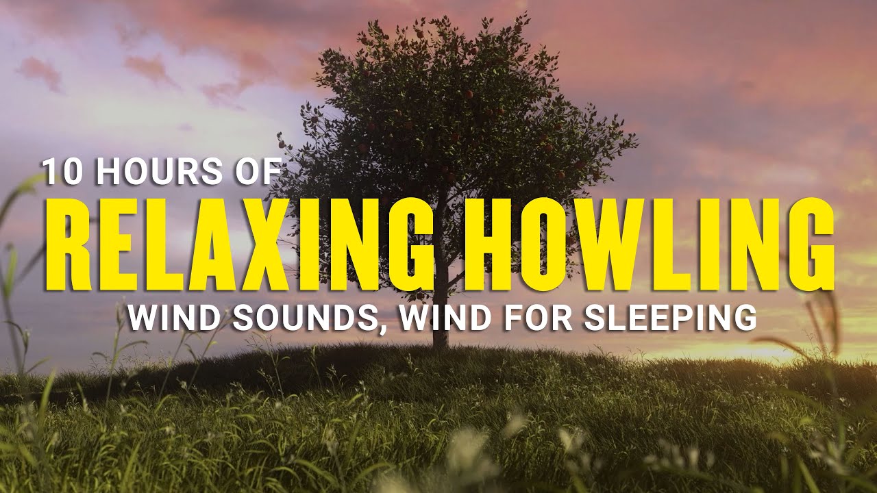 10 Hours of Relaxing Howling Wind Sounds | Wind Sounds for Sleeping ...