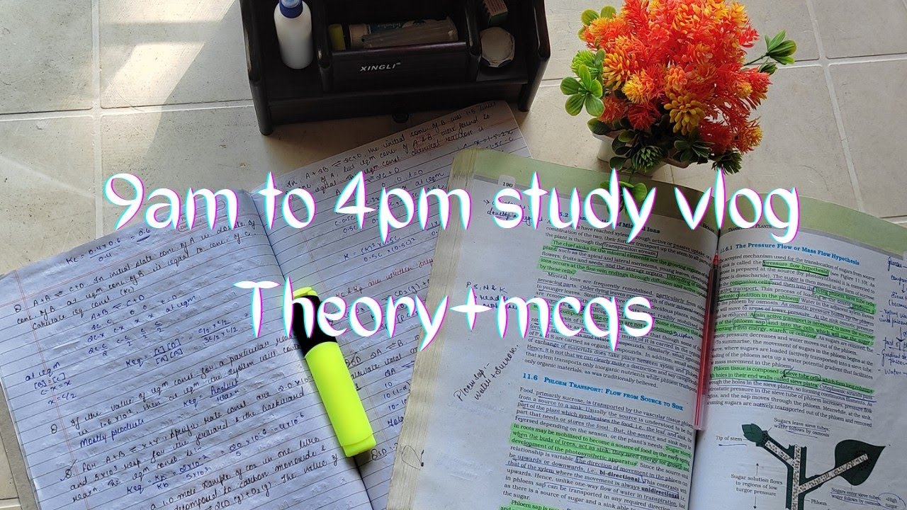 9am to 4pm Productive study sessions |Theory + practicing 200 mcqs| # ...