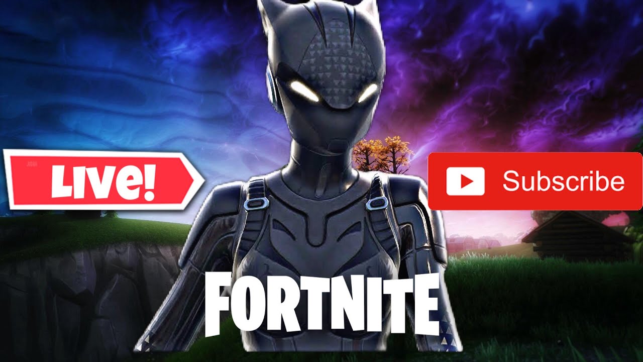 2 MORE SUBSCRIBER TO HIT 500, FORTNITE RELOAD|Subs Goal: 498/500 - YouTube
