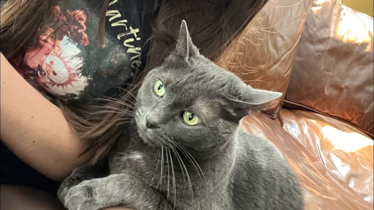 Ima take a personality quiz - YouTube