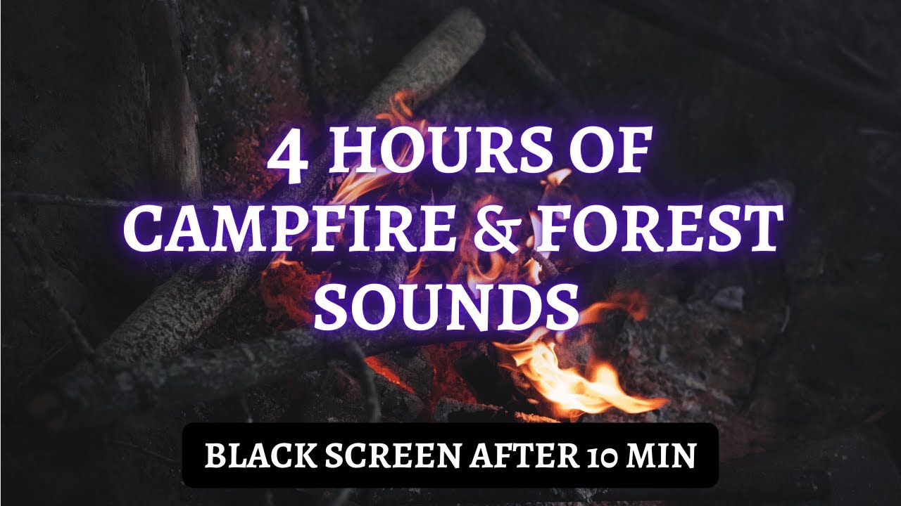 Campfire & Forest Sounds ASMR - 4 HR - YouTube