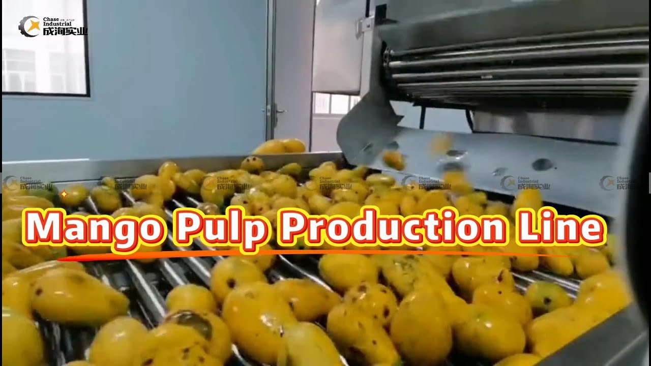 Turnkey Project for Mango Pulp Production Line - YouTube