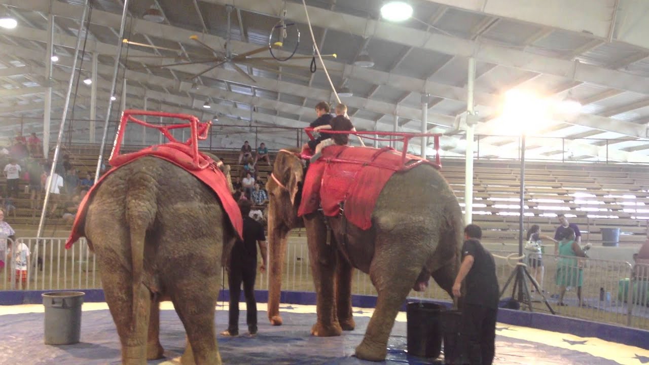 Joshua rides an Elephant at the Jordan Circus - YouTube