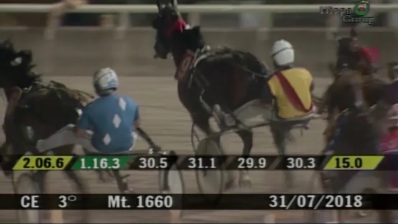 IPPICA: D’Alessandro e Lorenzo Baldi finalisti al Superfrustino | VIDEO ...