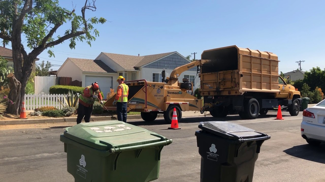 LA street services trimming trees - YouTube