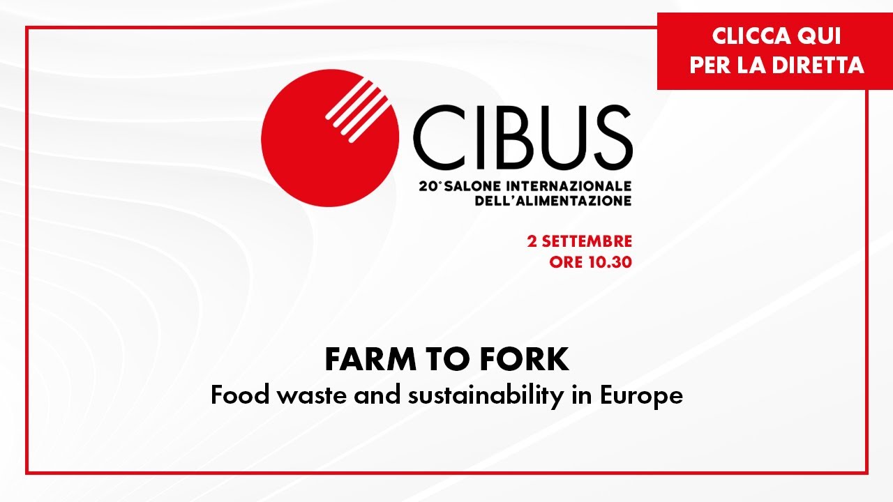 Farm to fork: food waste and sustainability in Europe - YouTube