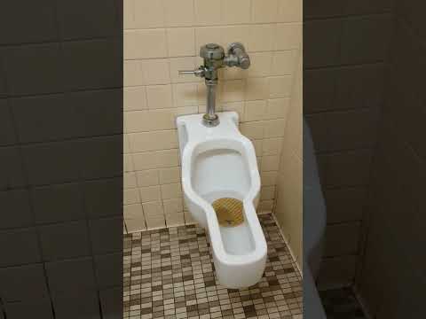 Small Guy Promotions - Weird Pissoir Urinal #shorts