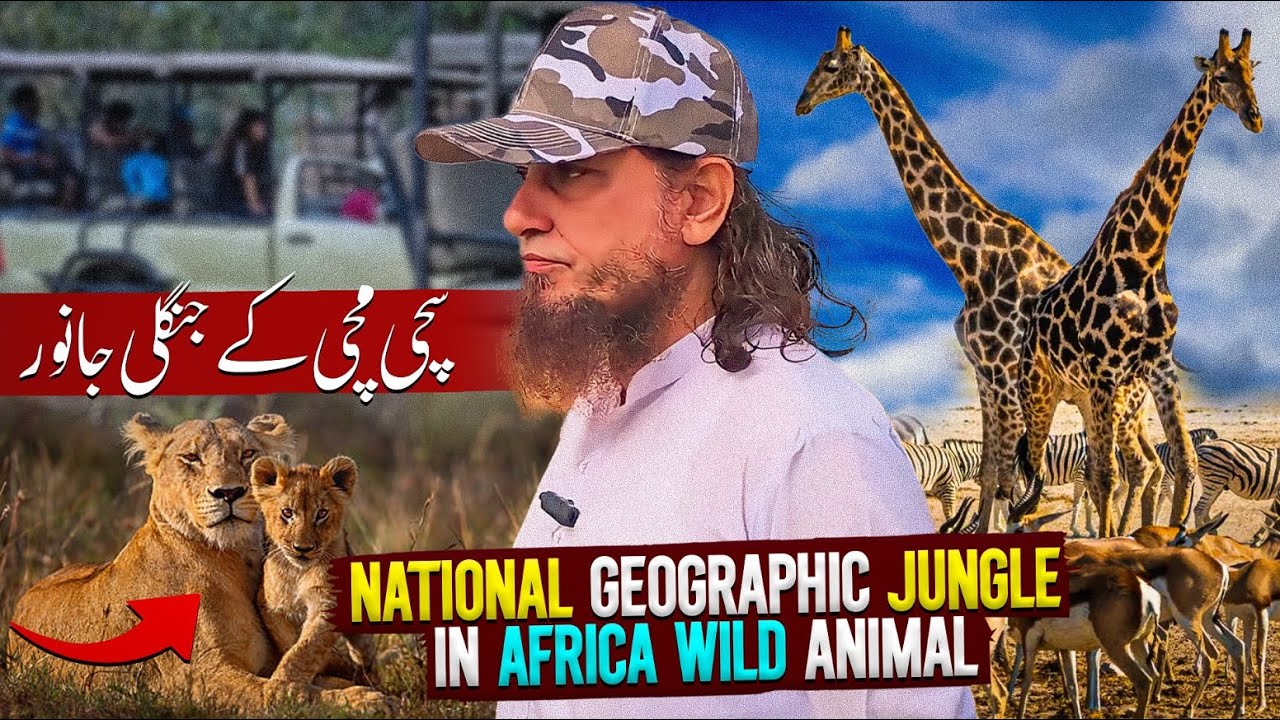 National Geographic Jungle In Africa Wild Animal | Mufti Tariq Masood Speeches 🕋 - YouTube