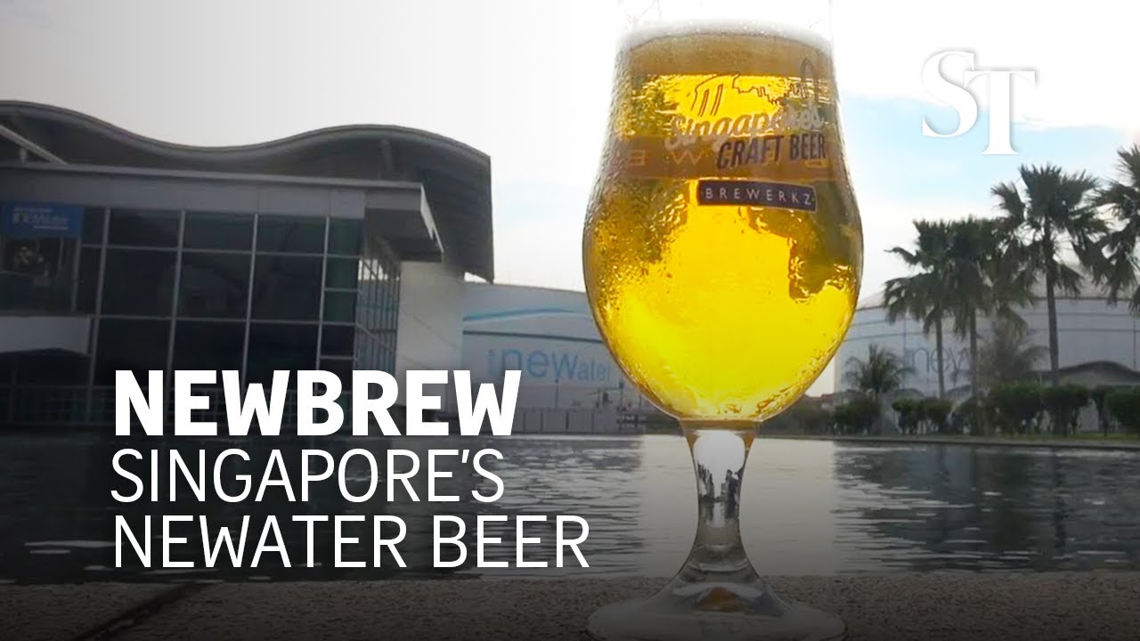 Newbrew, the Newater beer to go on sale in Singapore - YouTube