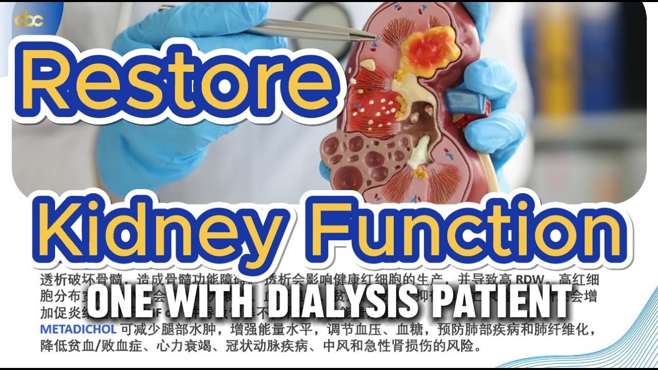 Restore Kidney Function By Metadichol - YouTube