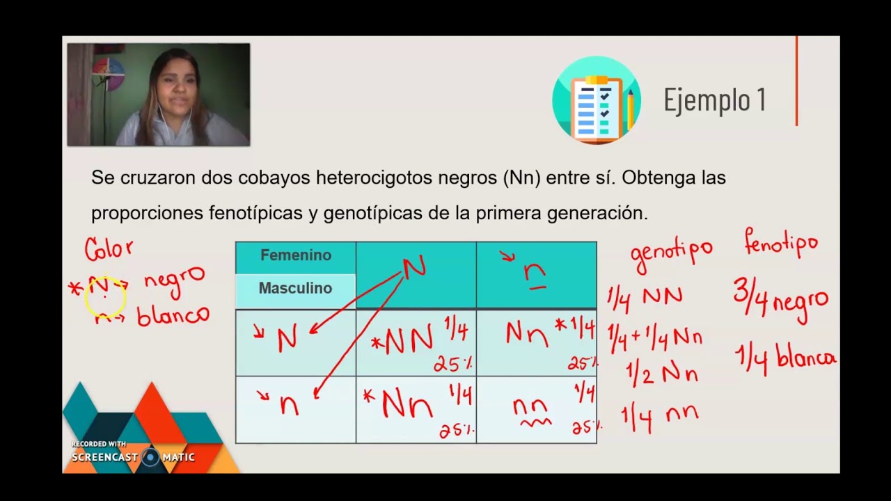 Video instructivo: cruce monohíbrido - YouTube