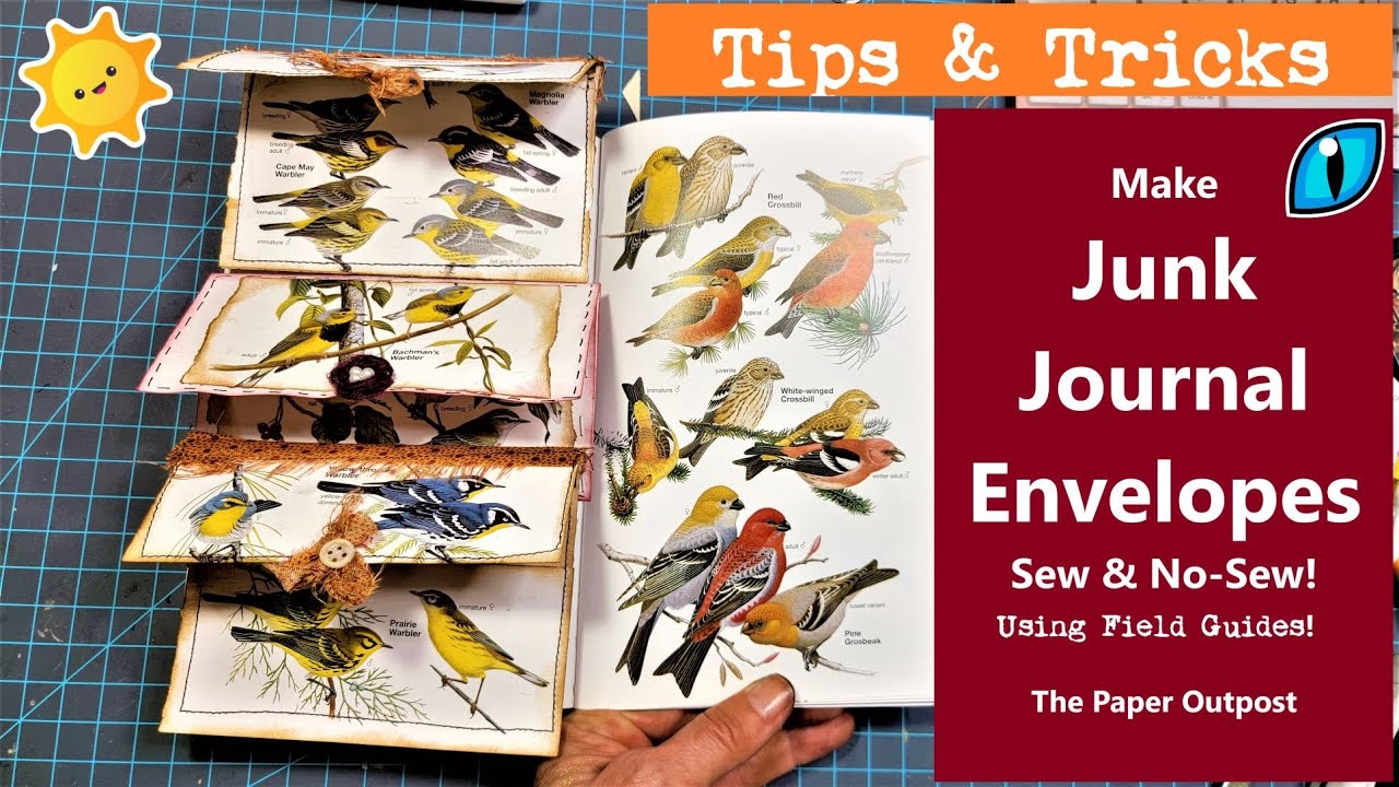 TIPS & TRICKS to Make Pretty Envelopes from Field Guides in Junk ...