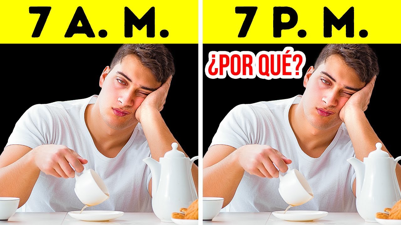 Por qué estás siempre cansado a pesar de que duermes lo necesario - YouTube