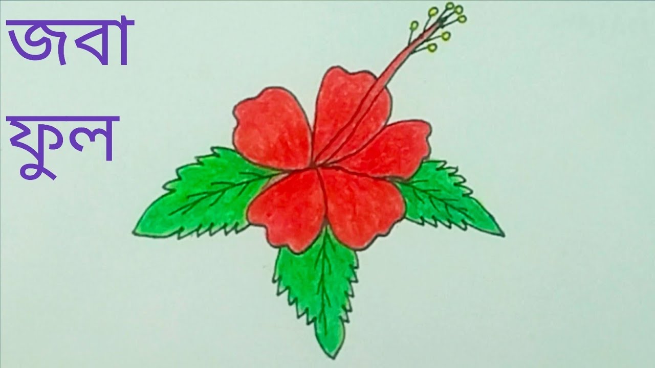 How to Draw Hibiscus flower //Joba ful drawing easy 🌺🌺🌺 - YouTube
