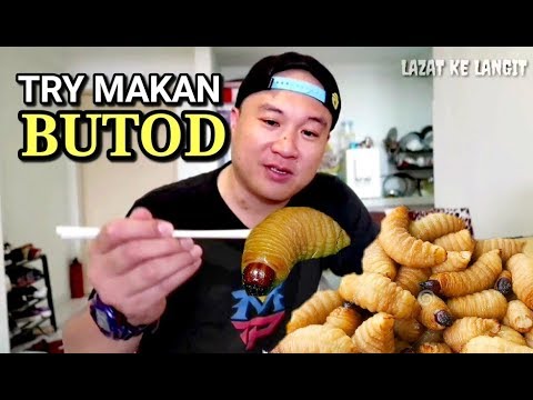 1st time makan BUTOD ( ulat sagu ) | eating sago grub | - YouTube