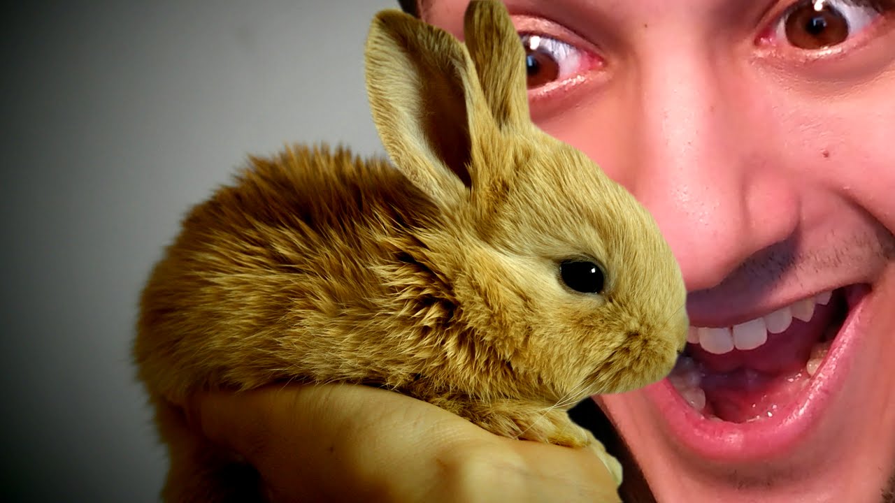 CS GO BUNNY HOP BANTER 11! "MULTI-MAP HYPE" (Funny Moments) - YouTube