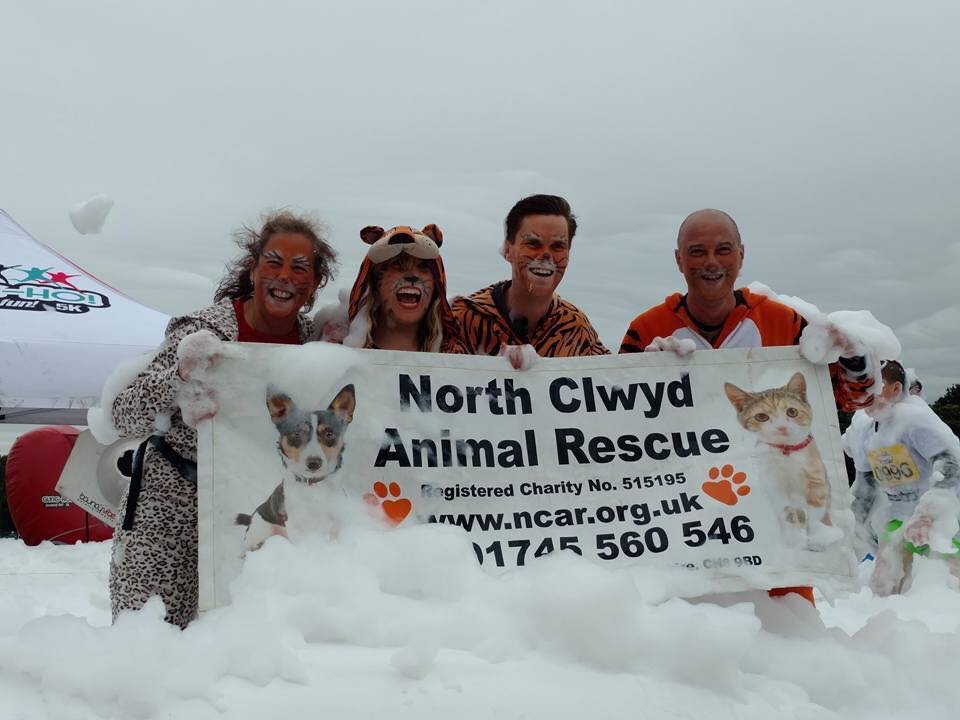 Gung Ho Liverpool 2016 in aid of North Clwyd Animal Rescue - YouTube