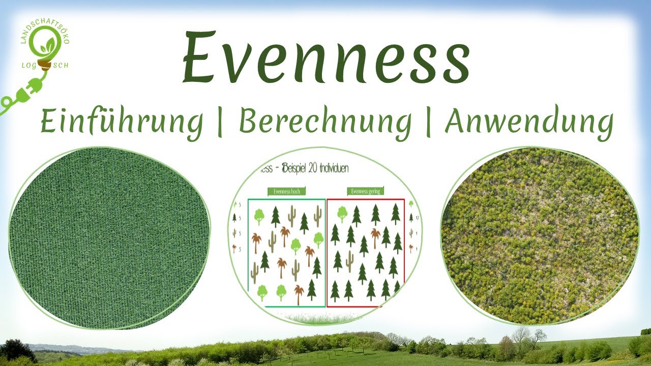 Die Evenness (Äquität): Einführung | Berechnung | Beispiele - YouTube