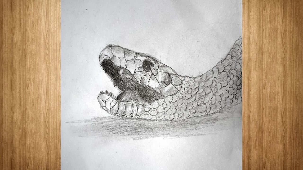Black Mamba Drawing - YouTube