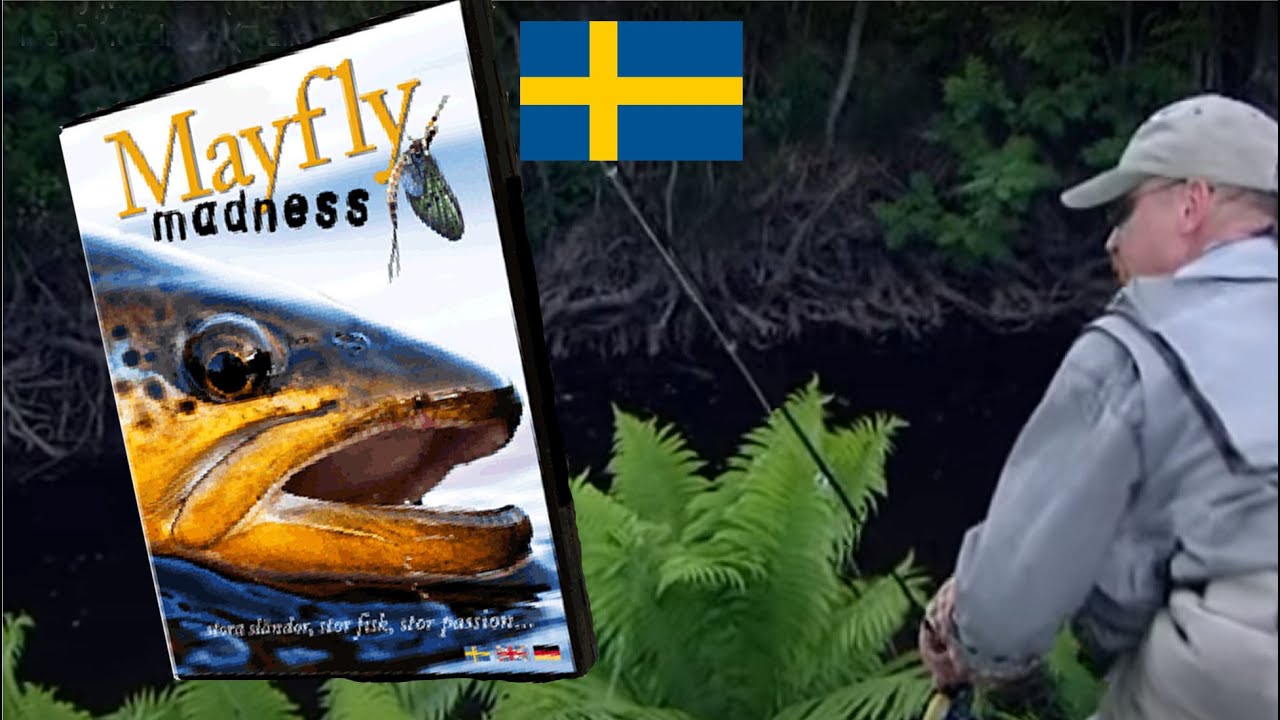 Mayfly Madness (Full Movie - Swedish) - YouTube
