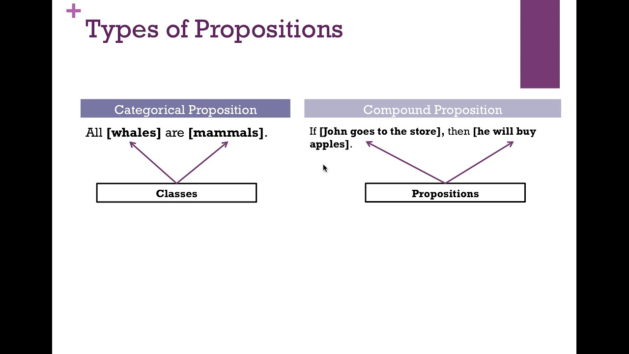 17 Logical Form and Disjunctive Syllogisms - YouTube