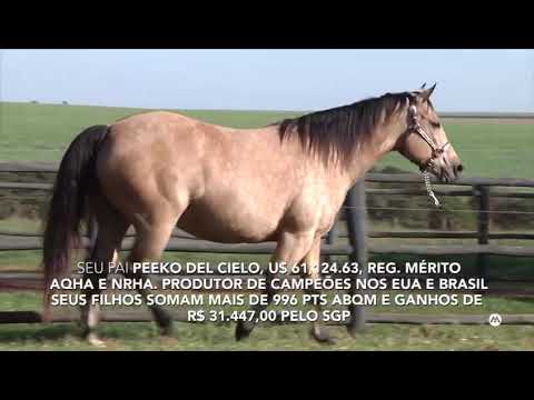 05   MISS HOLLY CIELO RW