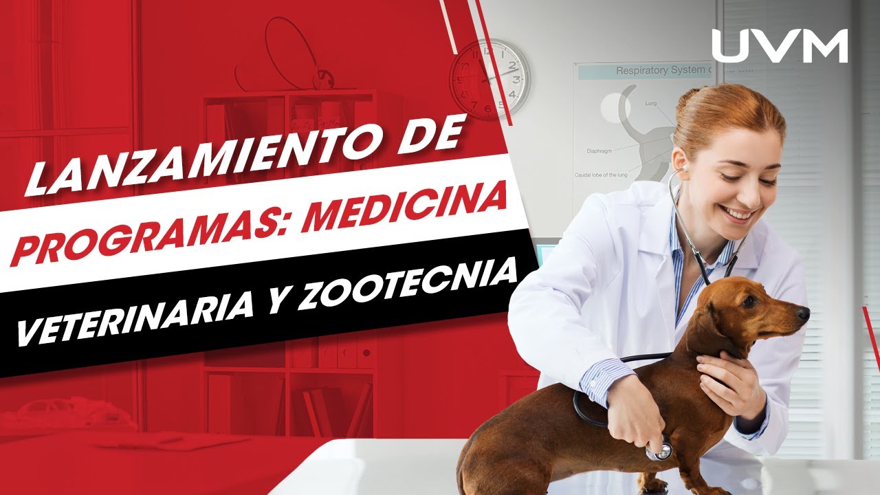 ¿Por qué estudiar Veterinaria en UVM Lomas Verdes es tu mejor opción ...
