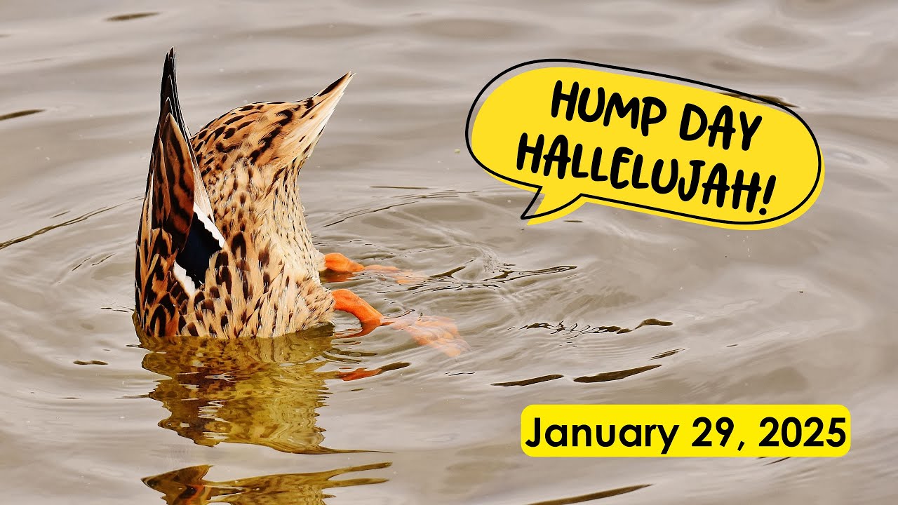 Hump Day Hallelujah! January 29, 2025 - YouTube