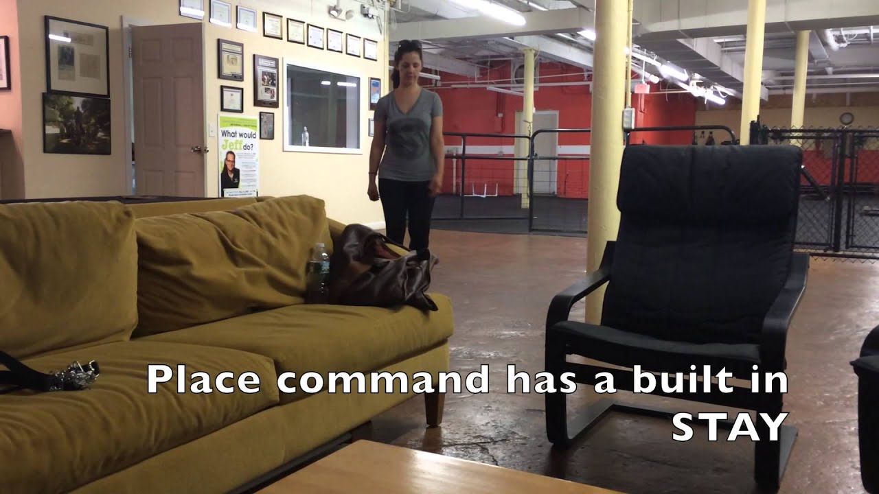 Calm Corrections for Remote Collar Training - YouTube