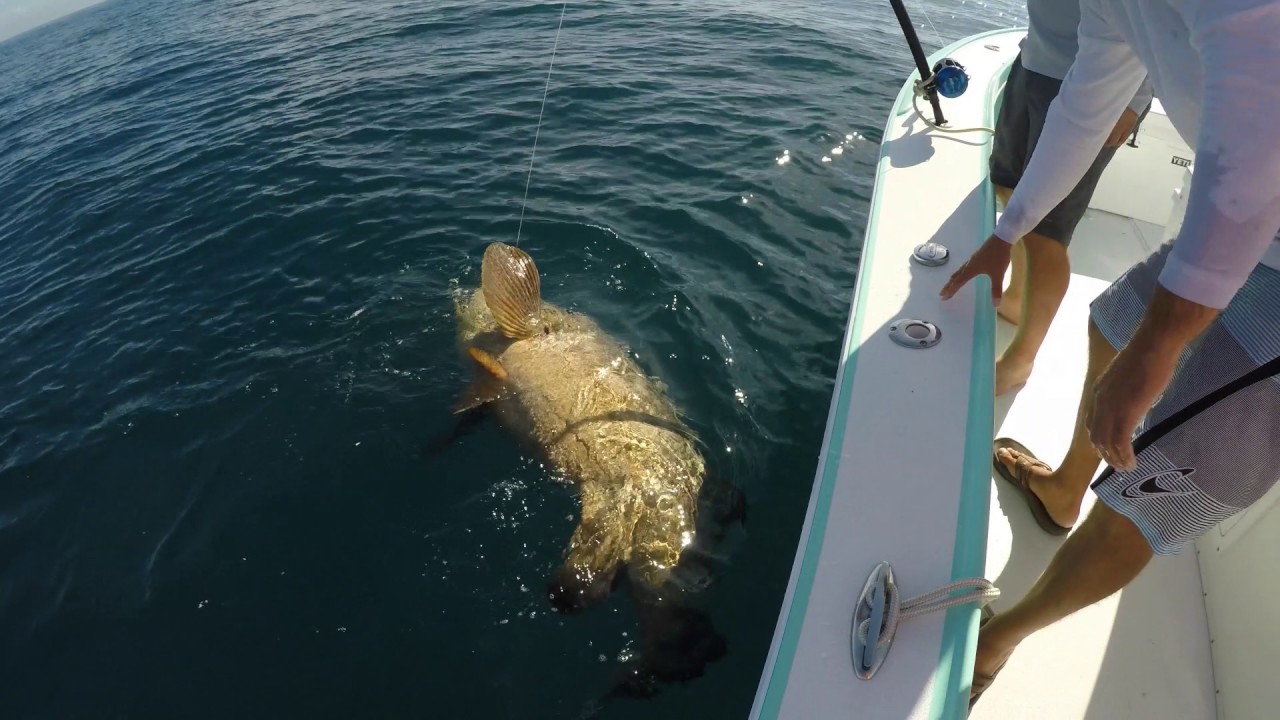 Big JewFish - YouTube