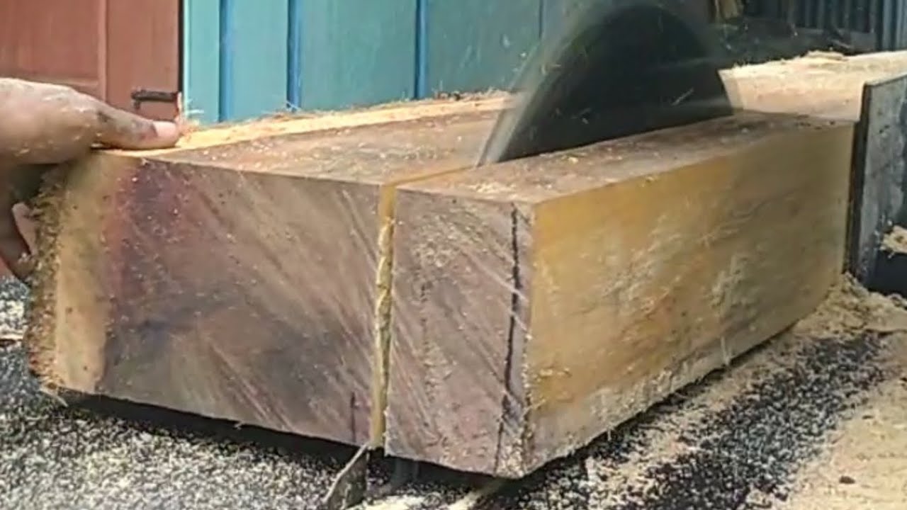 KAYU waru umur ratusan tahun, jadi kayu termahal di dunia digergaji ...