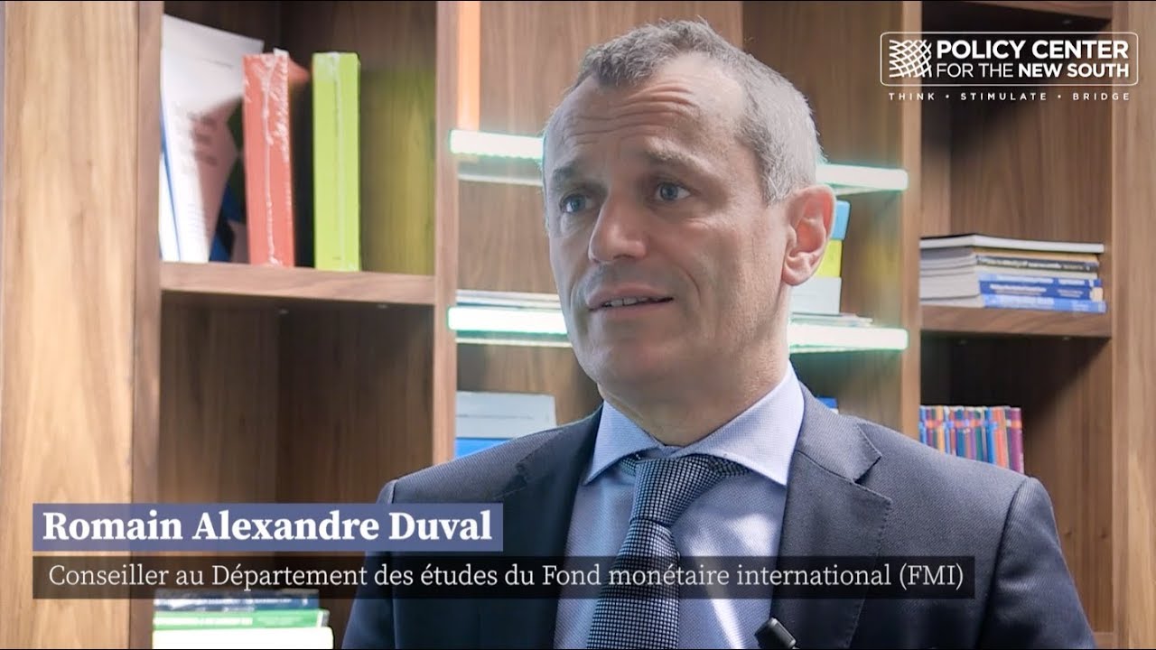 Les pays en développement / émergents et les réformes structurelles ...