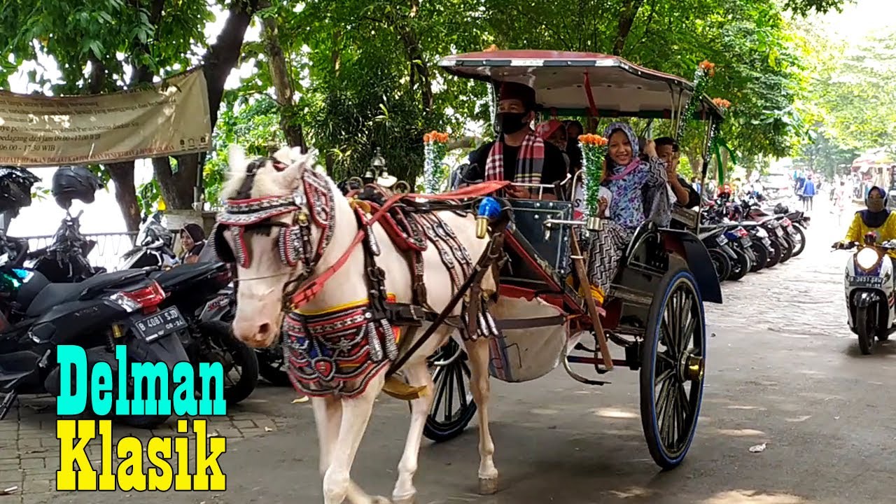 Kuda Delman🔹Naik delman klasik 🐎 Lagu populer || Horse drawn carriage ...