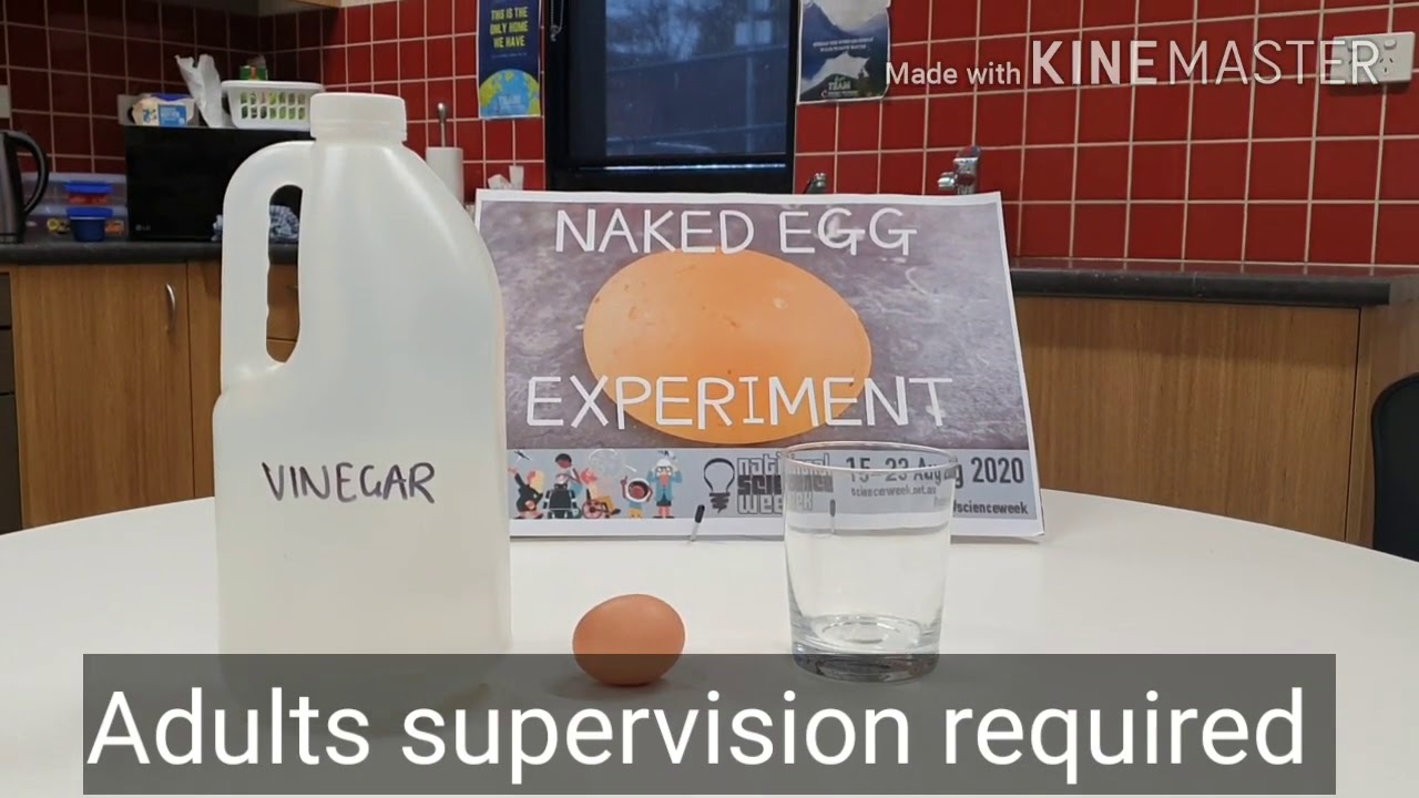 Science Week 2020 - Naked Egg Experiment - YouTube