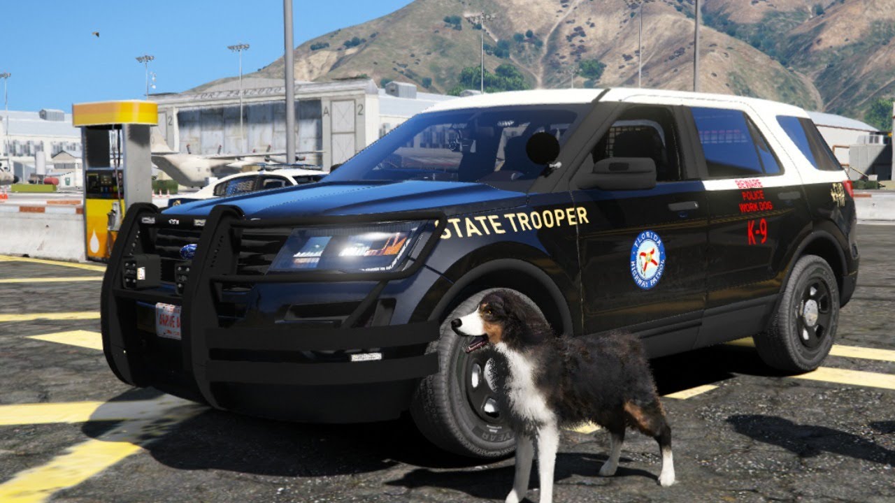 FIVEM - K9 UNIT - FLORIDA HIGHWAY PATROL - 2016 FORD FPIU - MCRP - YouTube